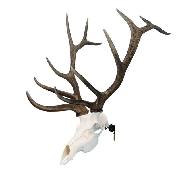 Legacy Bull Elk – WildForm
